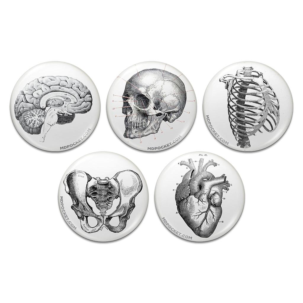 Vintage Anatomy Button Pack | MedInfo, Inc.
